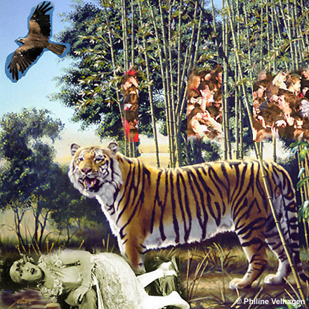 Find The Hidden Tiger